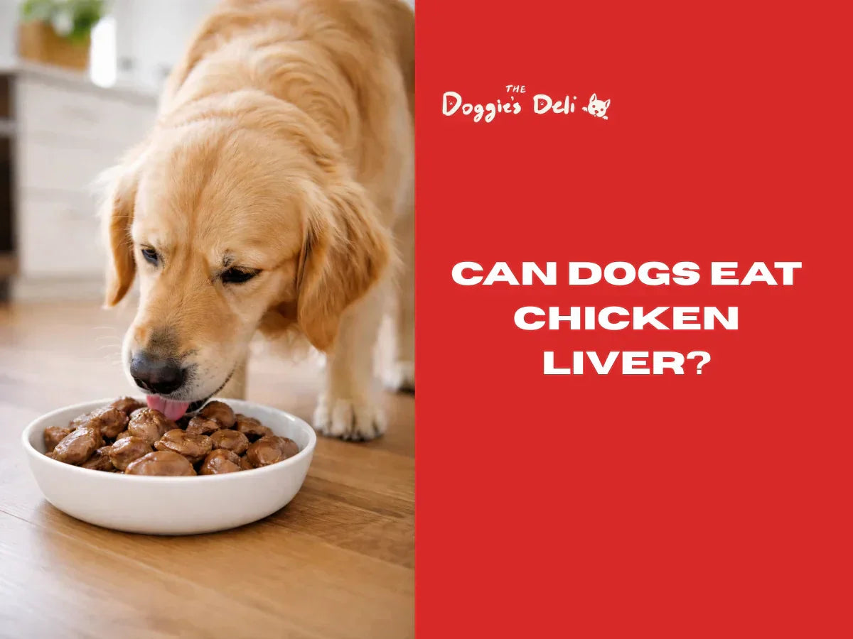 Can Dogs Eat Chicken Liver? | The Doggie's Deli